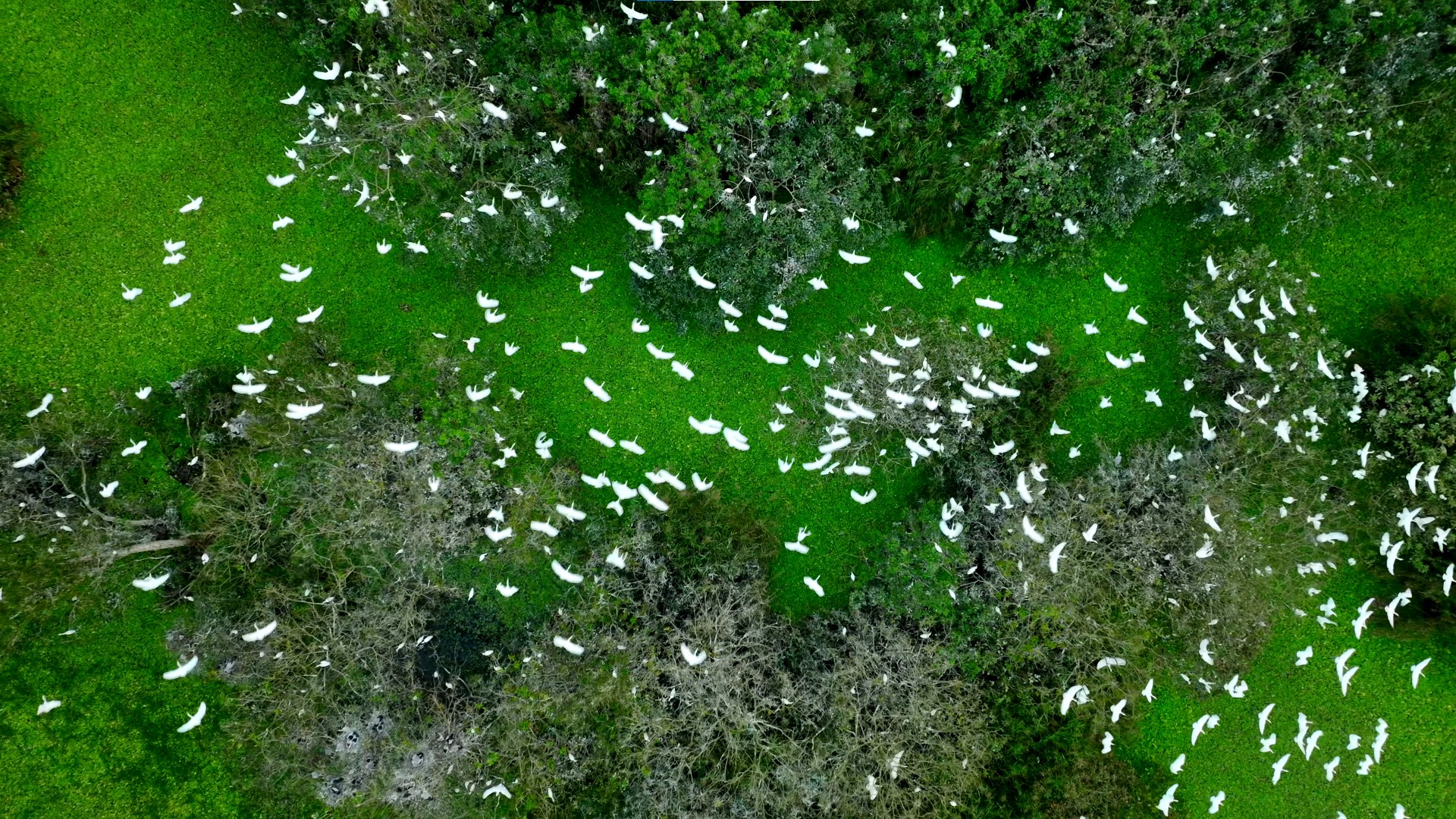 Khu du lịch sinh thái Thung Nham - Vẻ đẹp tiên cảnh không thể bỏ qua